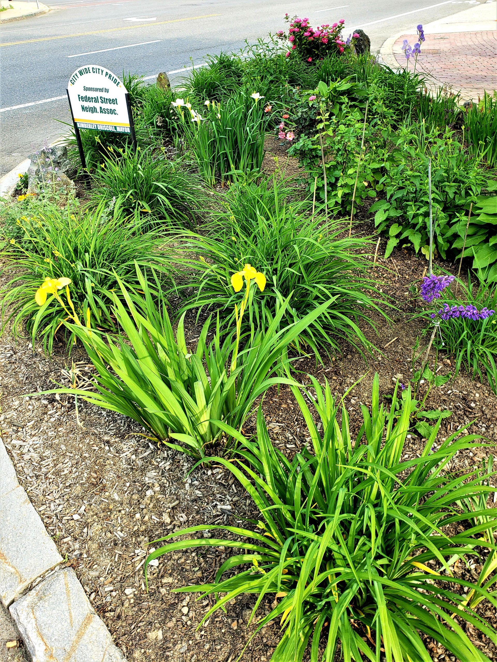 Federal Street Neighborhood Association